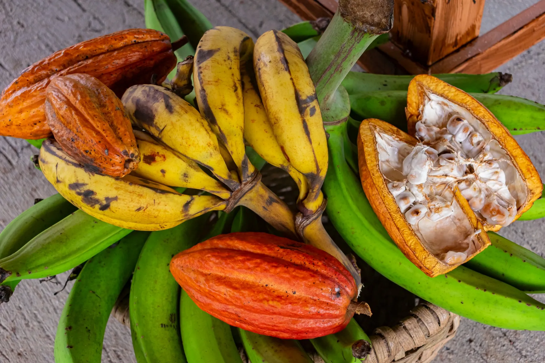 Heliconias Nature Inn | Eco Lodge in Arenal Volcano Area