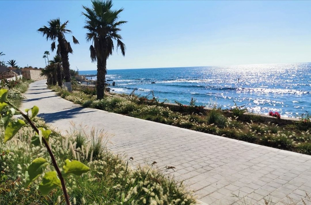 Municipality of Amchit
