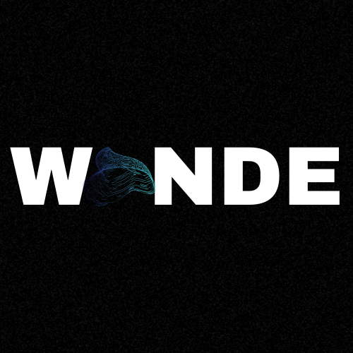 Wande - Business Technology Consulting