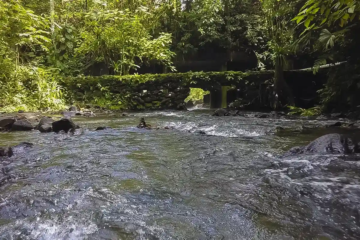 Thermal river with lush green jungle in Costa Rica