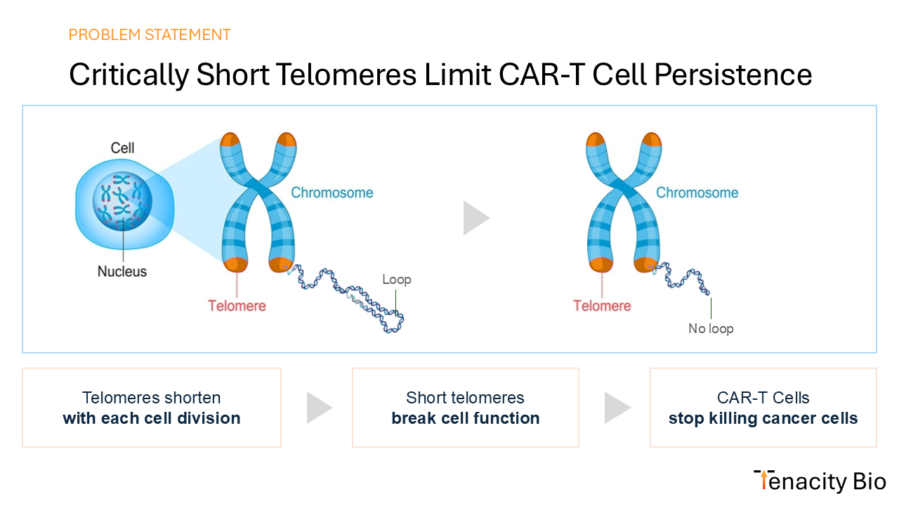 Tenacity Bio - Breakthrough Cancer Therapeutics