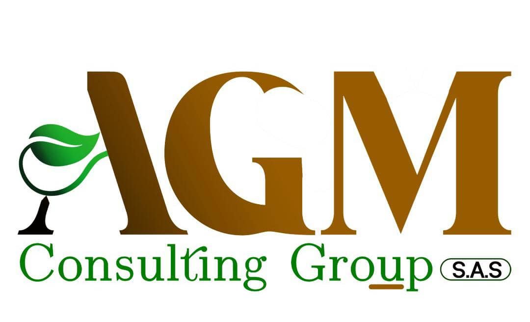 AGM Consulting Group