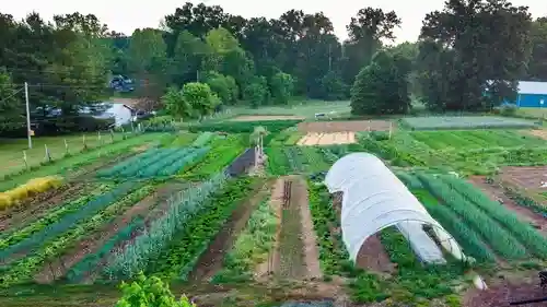 Bhagachasi Farmer Producer Company Limited | Organic Farming with land ...